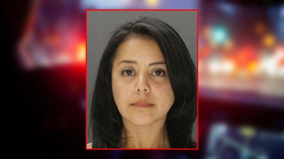 Victoria Neave: The Democrat in Charge of the House County Affairs ...