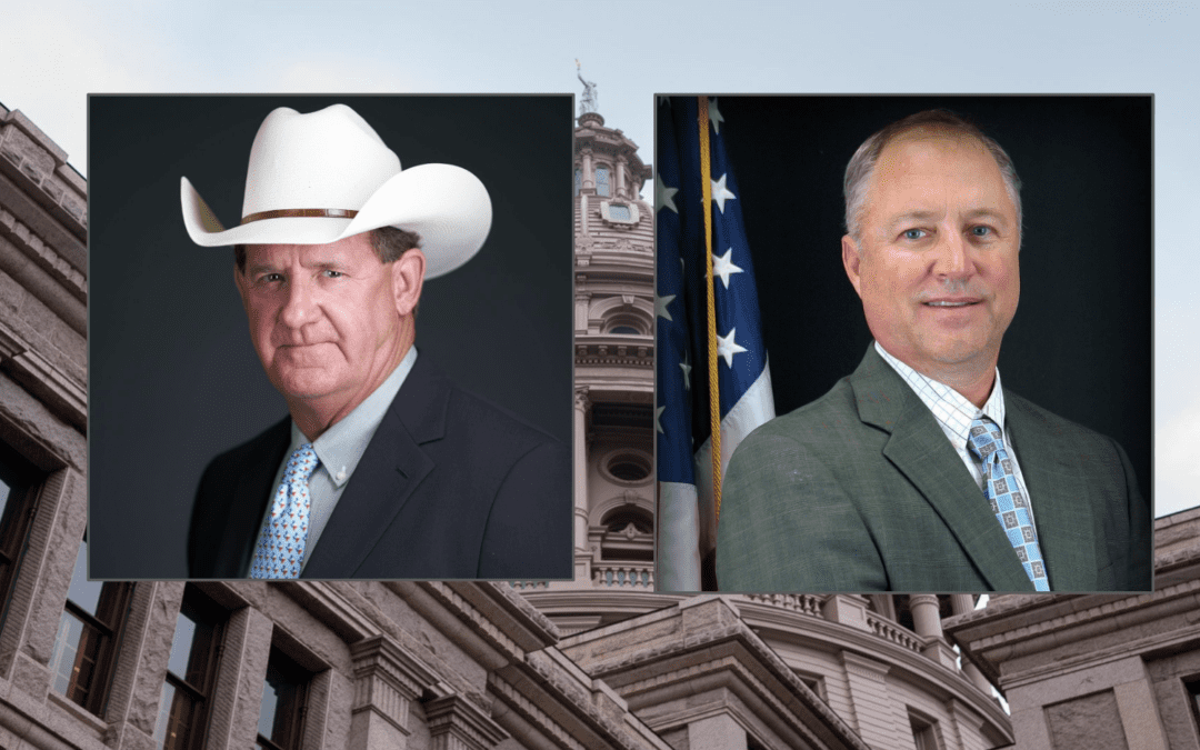 Local Archives - Texas Scorecard