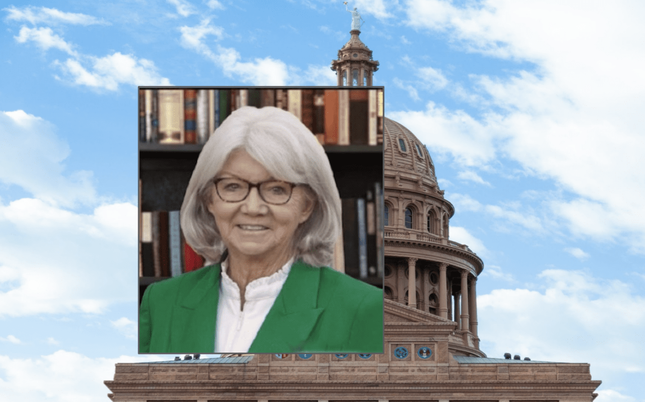 Helen Kerwin Defeats State Rep. DeWayne Burns in House District 58 ...