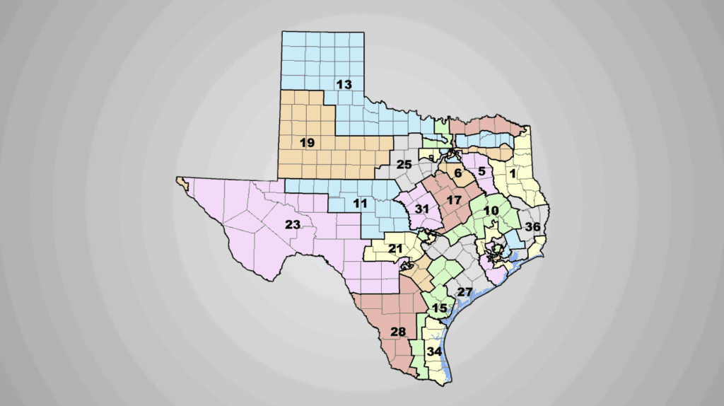 Federal Court Blocks Texas’ New Congressional Map, Orders Return to ...